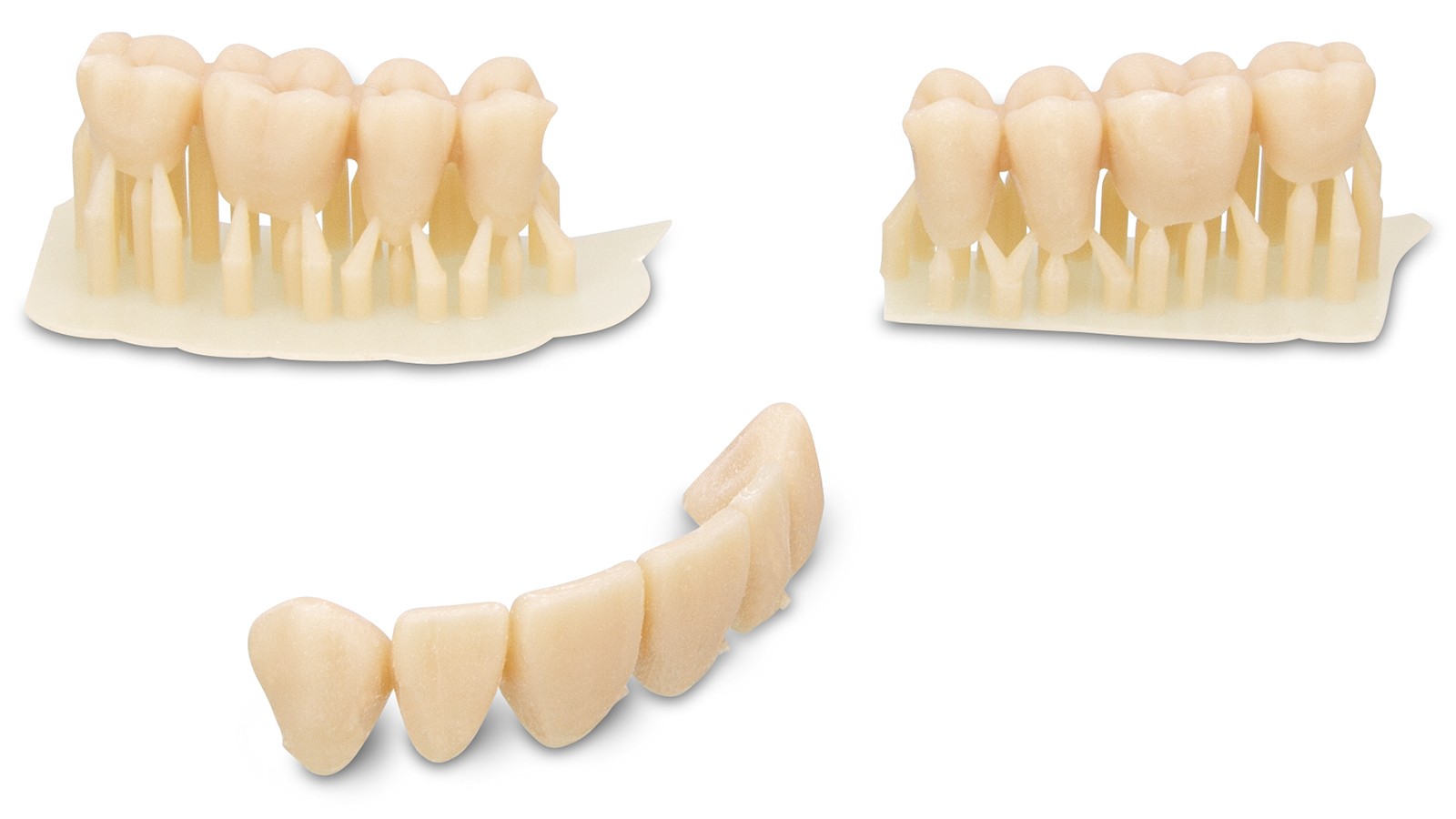 dima Print Digital Denture – Resin for 3D printed dentures